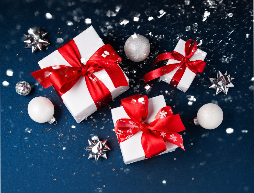 Christmas Donation 2025 | Berner Lab